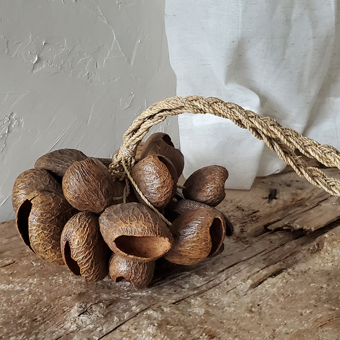 Hand shaker percussion pangi seed – koa kaya