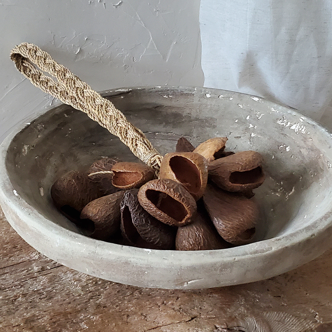 Hand shaker percussion pangi seed – koa kaya