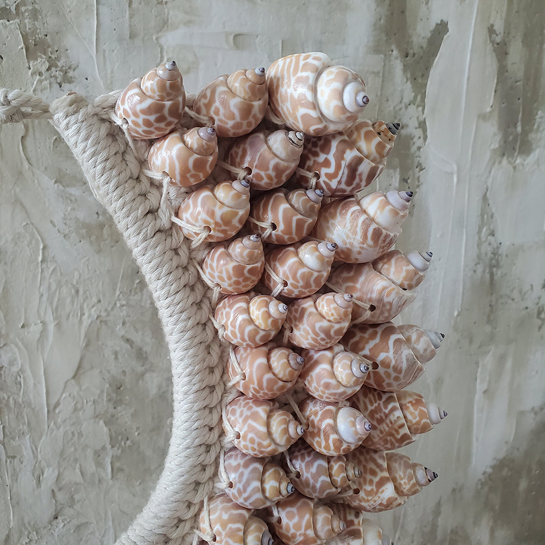 Shell Necklace on Stand No 4 – koa kaya