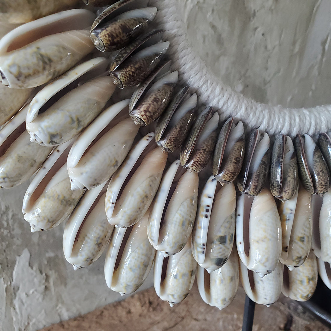 Shell Necklace on Stand No 5 – koa kaya