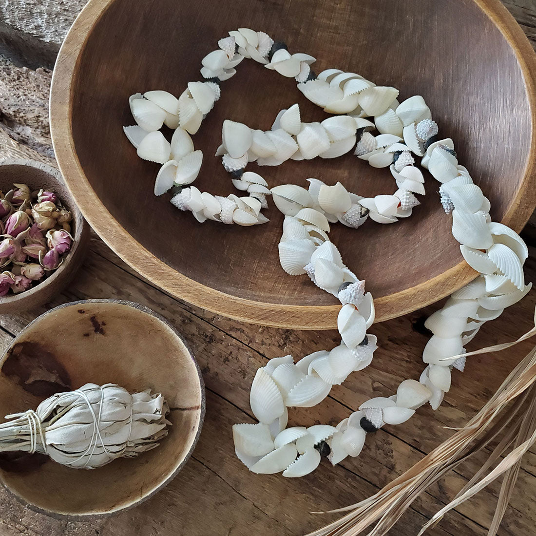 Seashell Garland – koa kaya