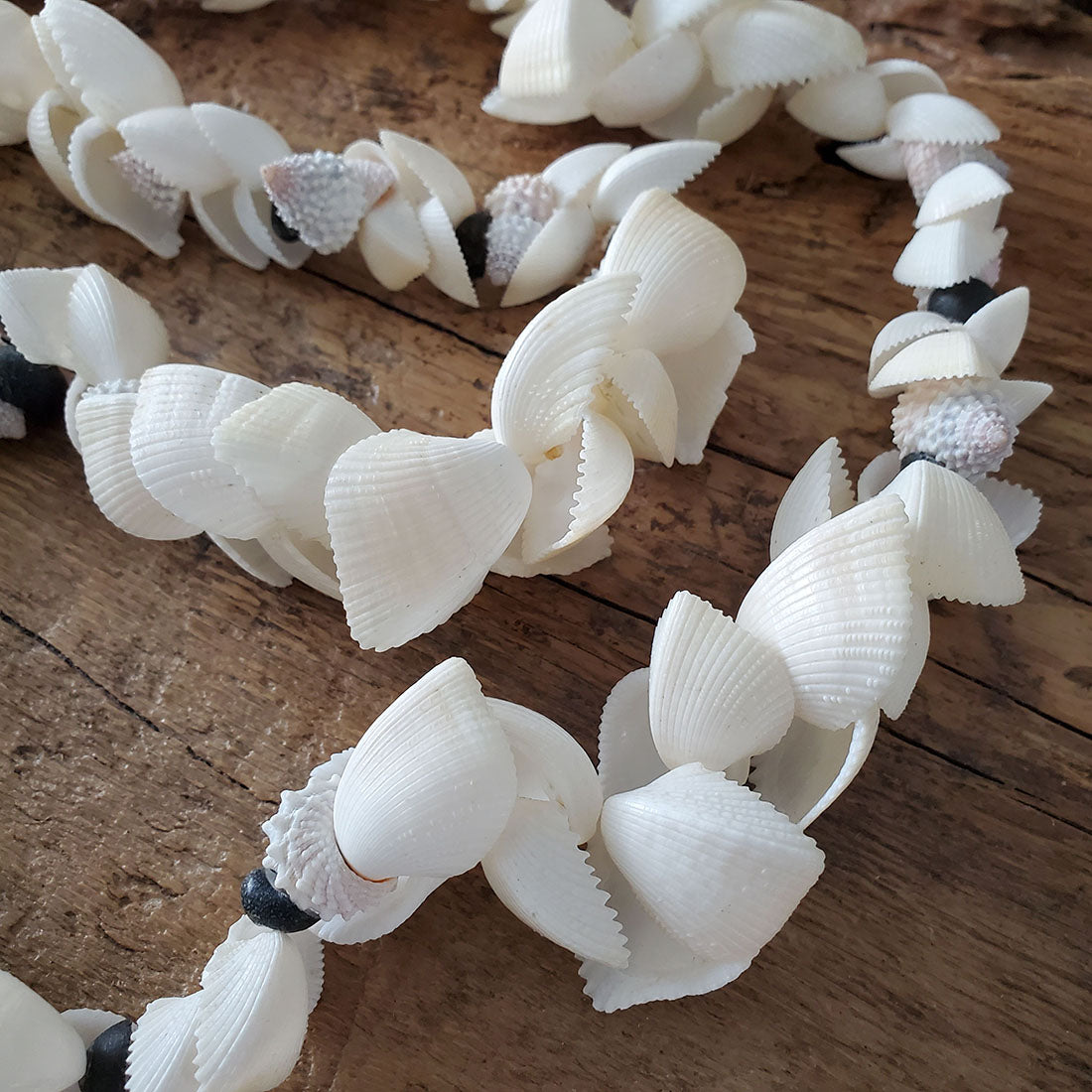 Seashell Garland – koa kaya
